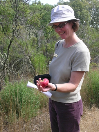 Historic Orchard Assessment