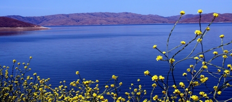 San Luis Reservoir State Recreation Area