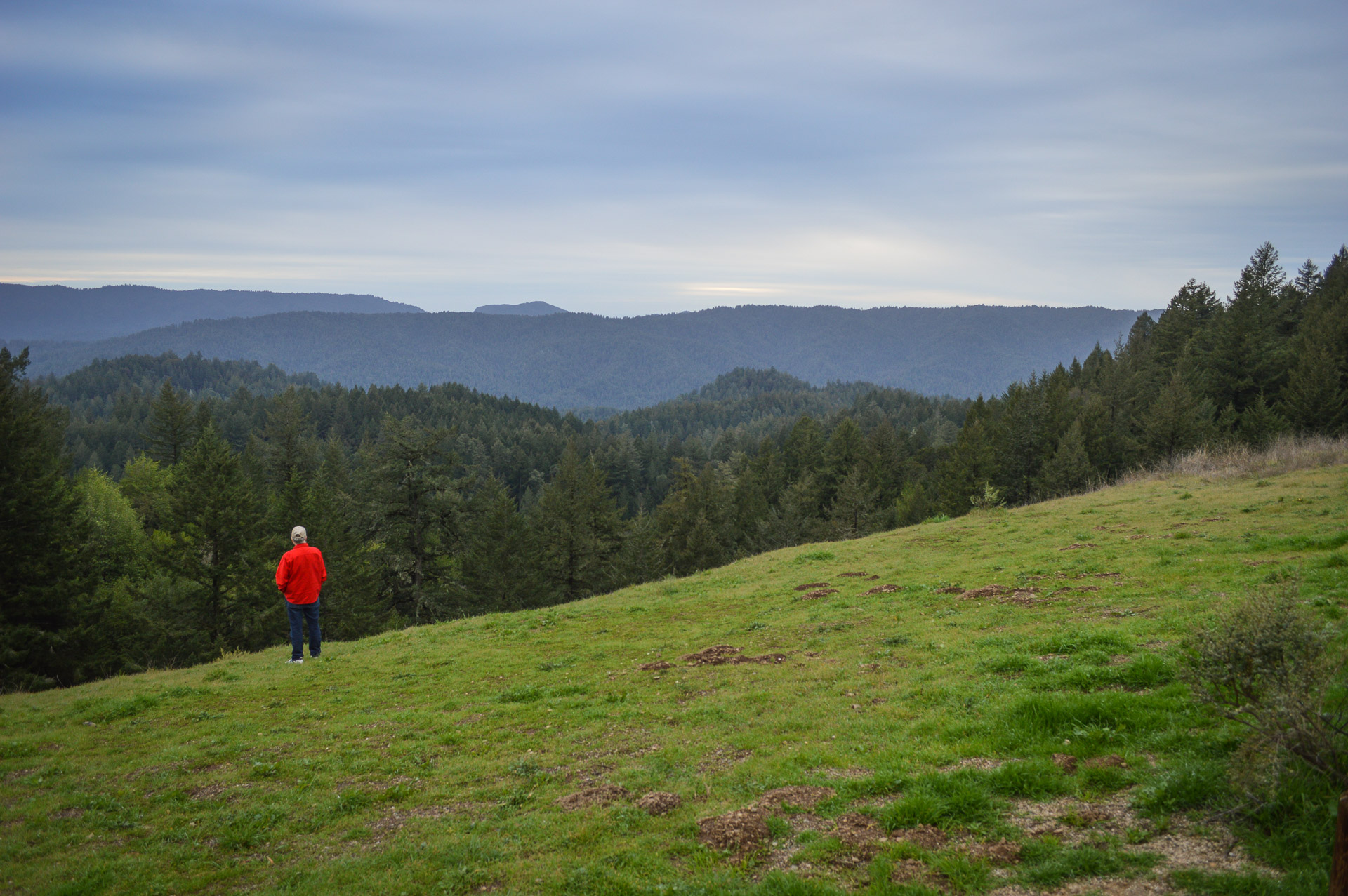 Castle Rock SP