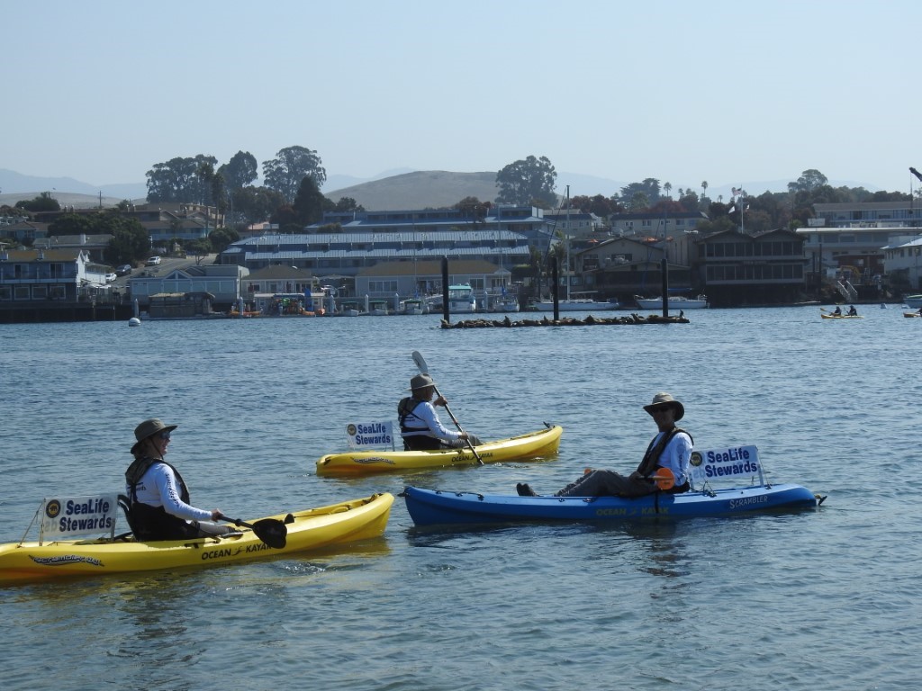SeaLife Stewards Volunteer Program