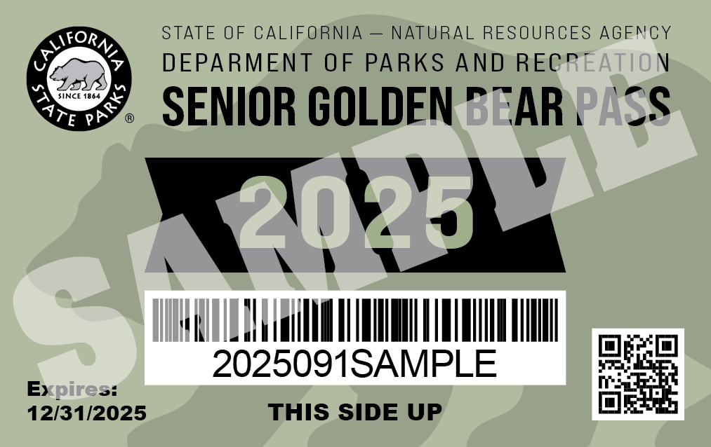 Senior Golden Bear Pass